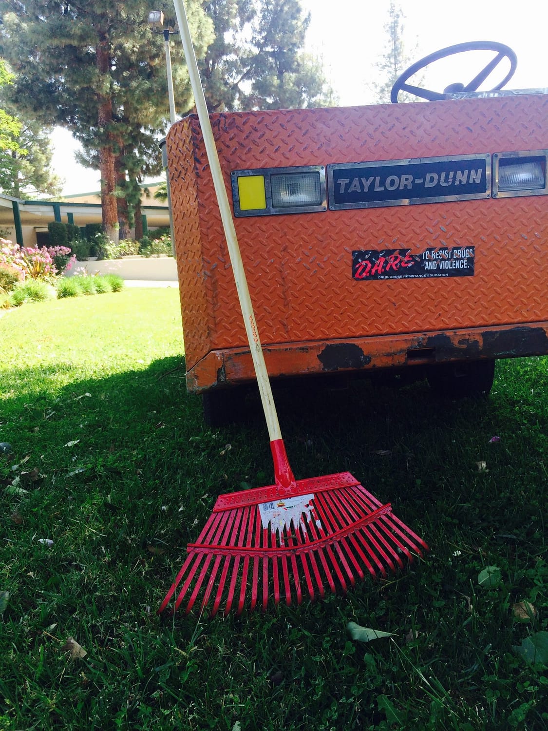 This Is How You Spruce up Your Visuals with 3 Free Tools