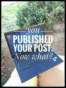 This Is What You Should Do After Publishing Your Blog Post