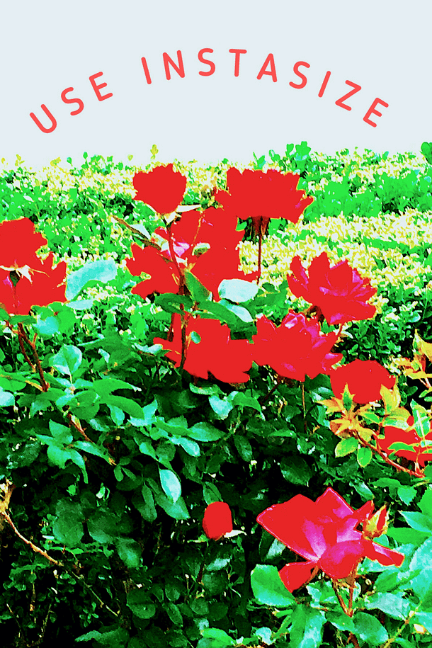 InstaSize: How to Get People to Love the Look of Your Photos and Videos